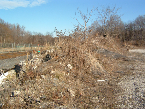 What is a New Jersey (NJDEP) LSRP