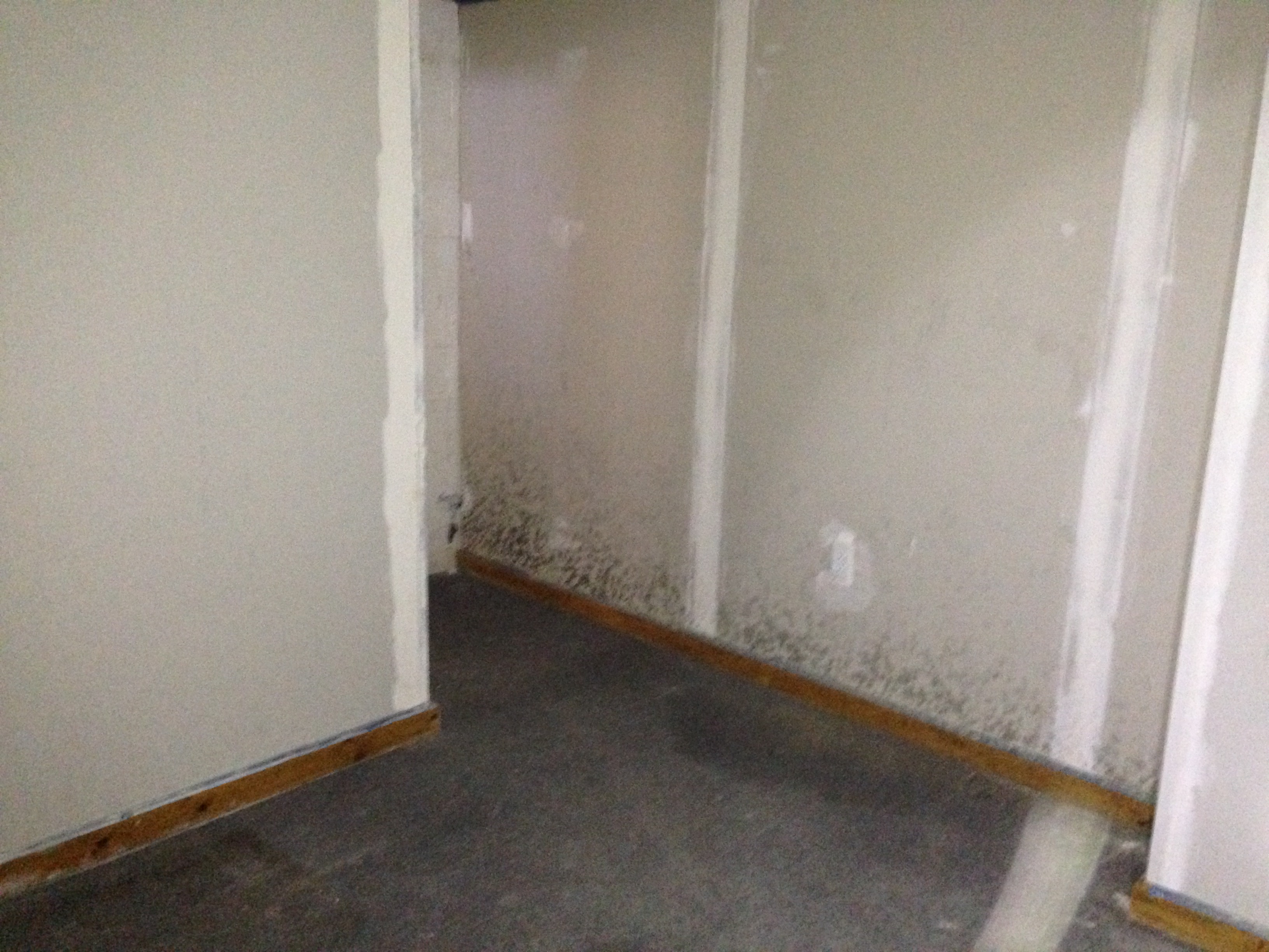 How to read mold test results.