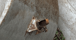 Environmental Issues, Mold, Oil Tanks, Mosquitoes