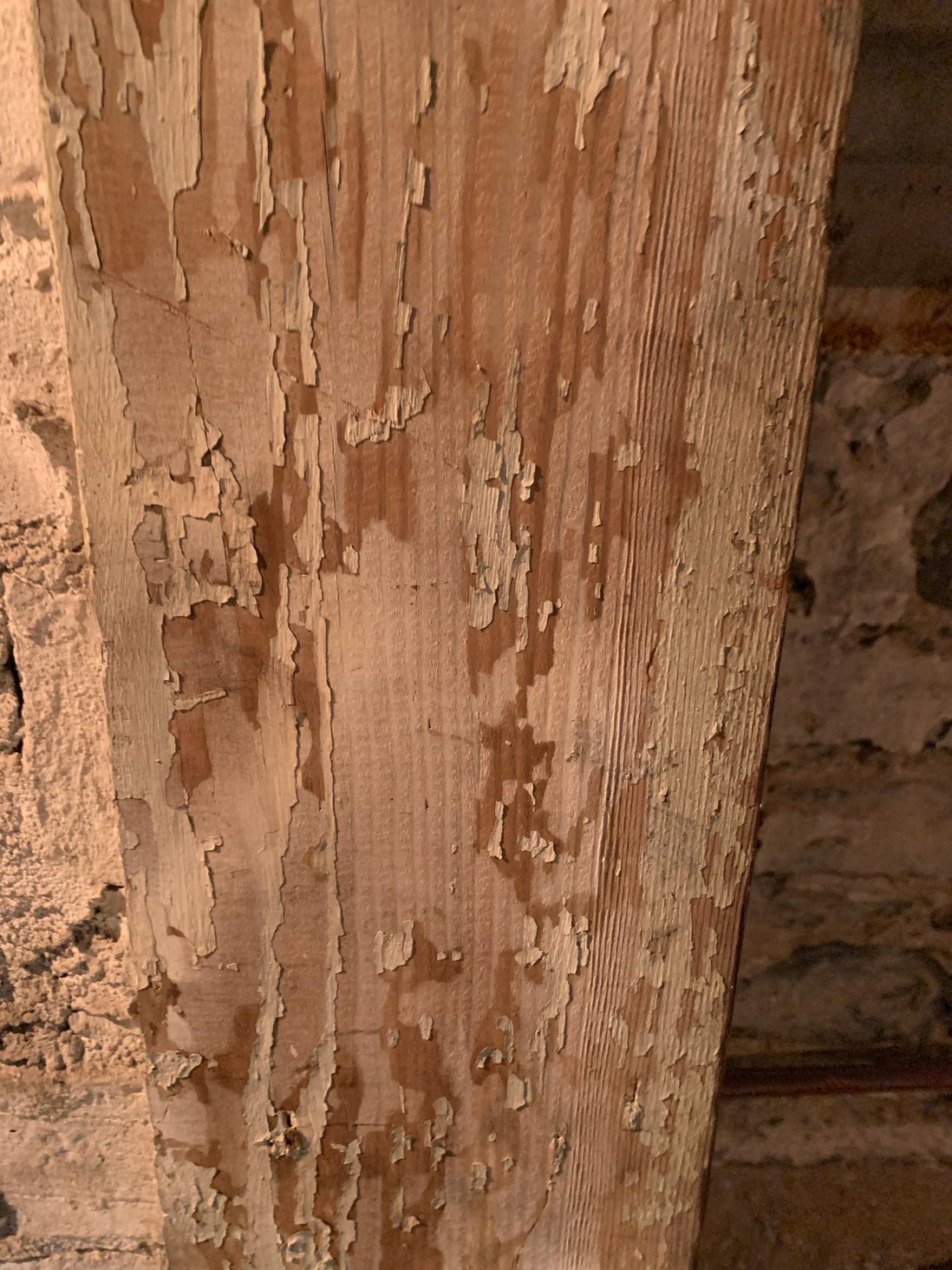 Lead Paint Frequently Asked Questions FAQ