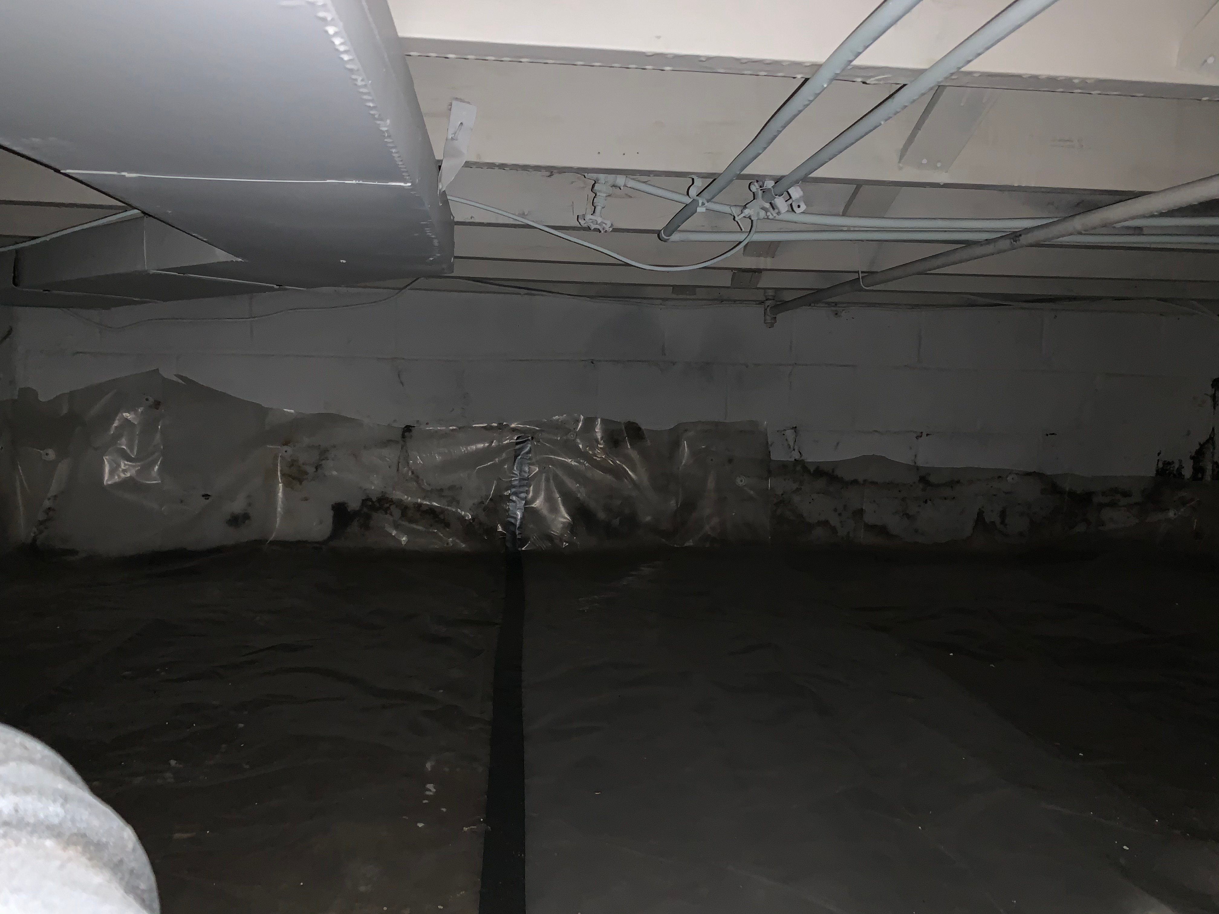 What is proper mold remediation?