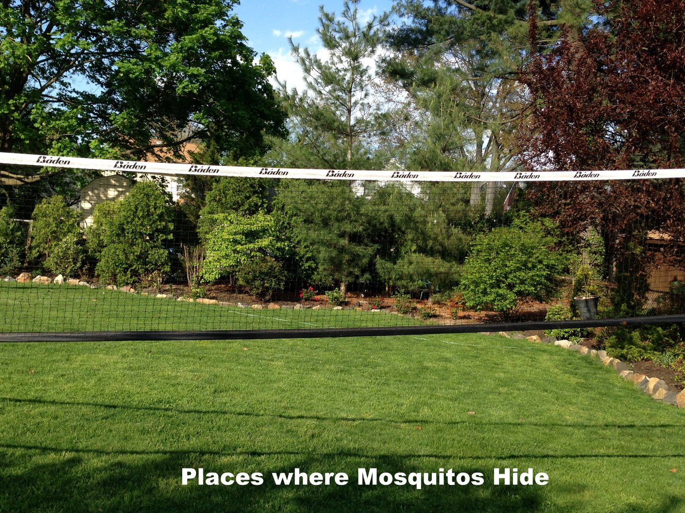 Mosquito FAQ (Frequently Asked Questions)