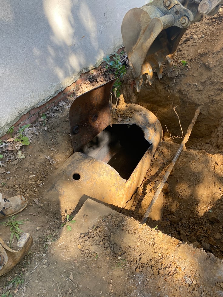 Environmental Issues, Mold, Oil Tanks, Mosquitoes