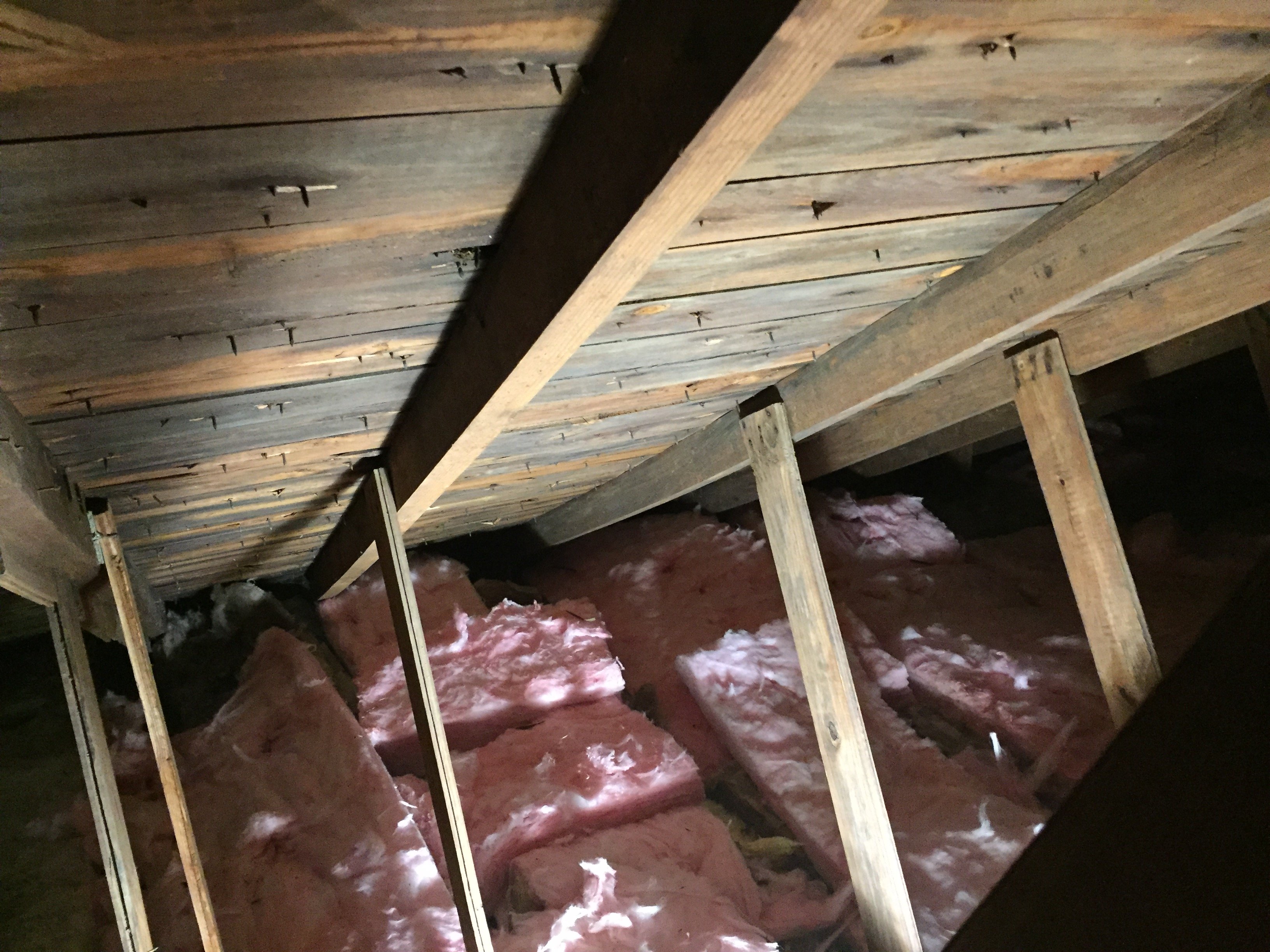 Mold Found in Attic