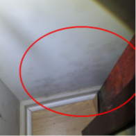 Lead Paint Inspection vs Risk Assessment