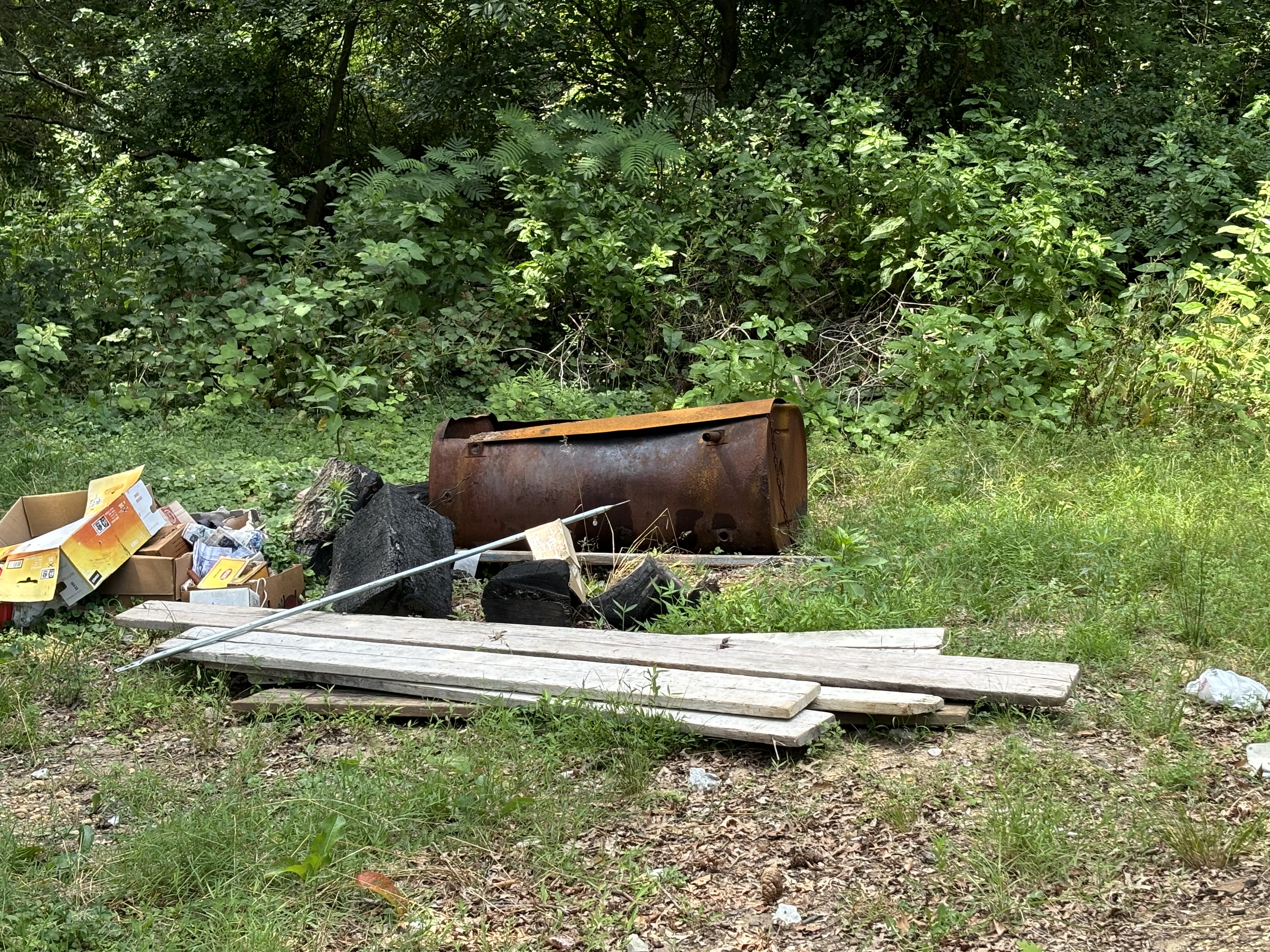 Top 10 Things You Cannot Recycle & How to Recycle Properly