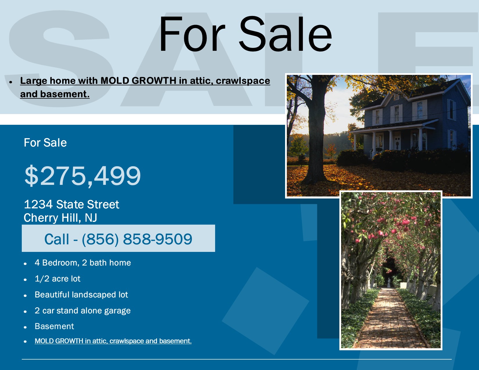 What is the driver for Mold Remediation?